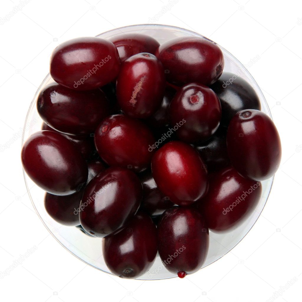 Cornelian berry — Stock Photo © jimbo3904 #22277455
