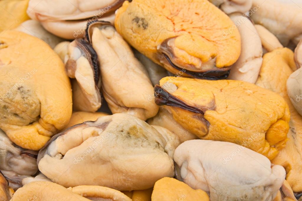 Boiled yellow mussel Stock Photo by ©jimbo3904 22343481
