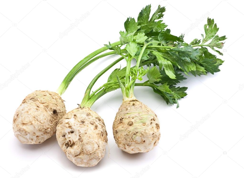 Fresh celery with root Stock Photo by ©jimbo3904 22486263