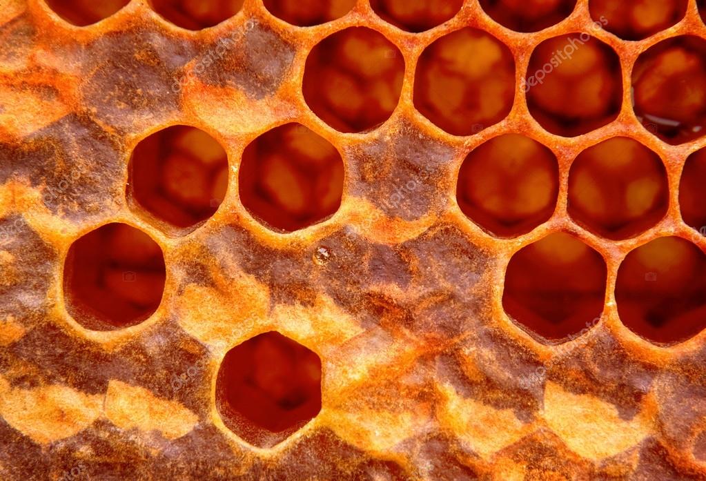 Honeycomb structure Stock Photo by ©jimbo3904 22492453 Honeycomb structure Stock Photo by ©jimbo3904 22492453
