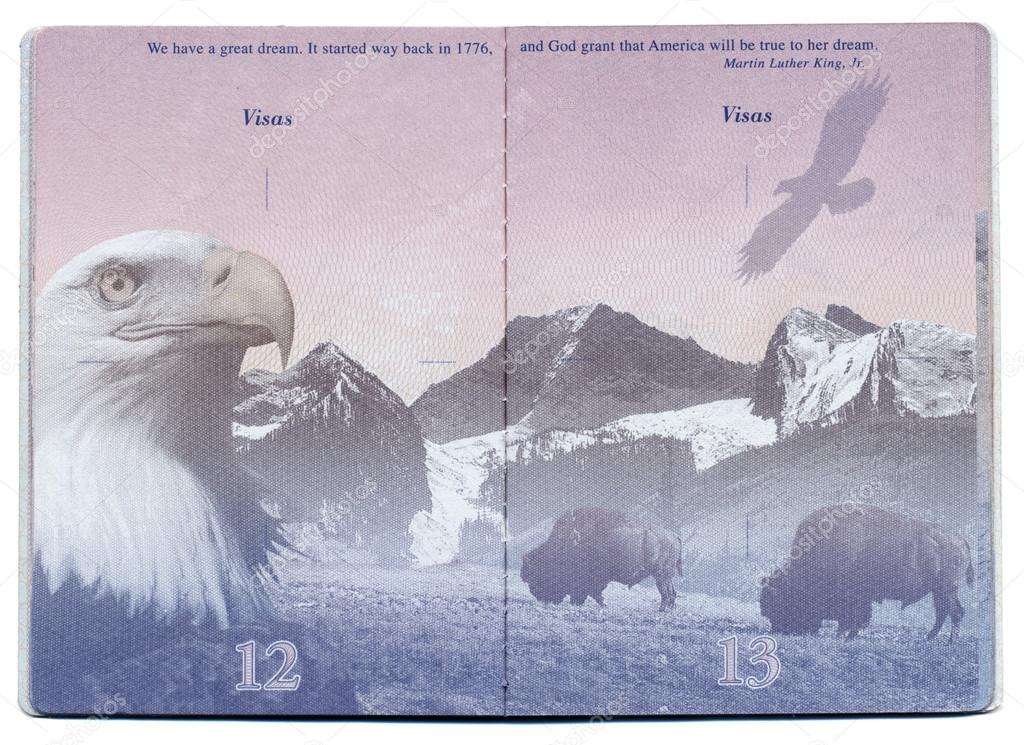 Passport Page Background