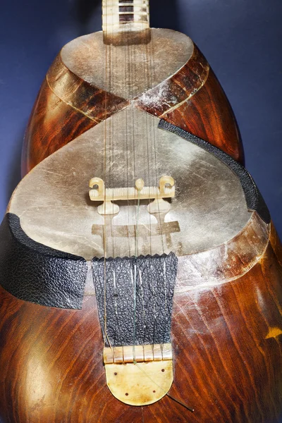 Iranian Tar String Instrument