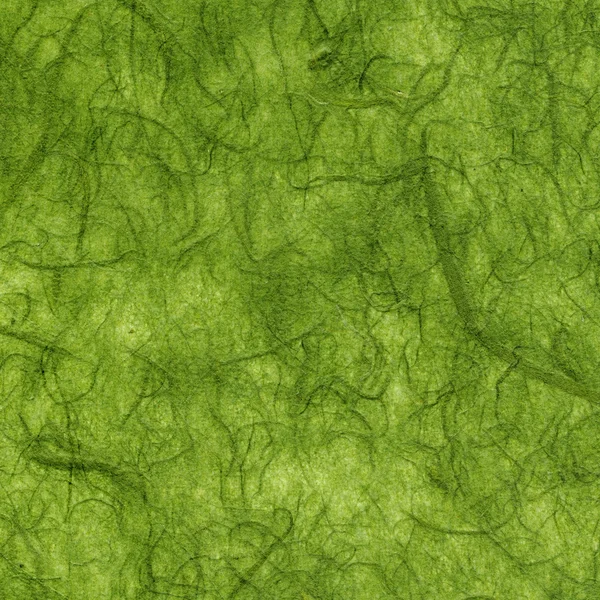 Rice Paper Texture - Green XXXXL Stock Photo by ©eldadcarin 22540451