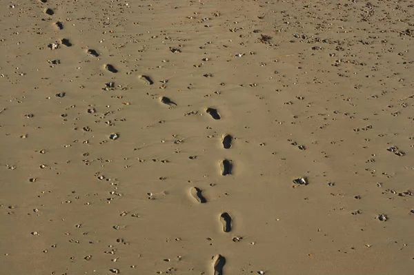 Human tracks Stock Photos, Royalty Free Human tracks Images | Depositphotos