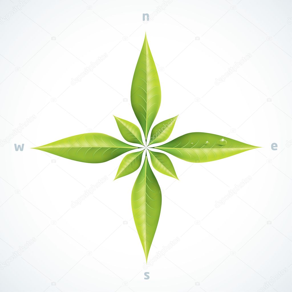 Eco green leafs compass rose — Stock Vector © xenOnn_ #25521251