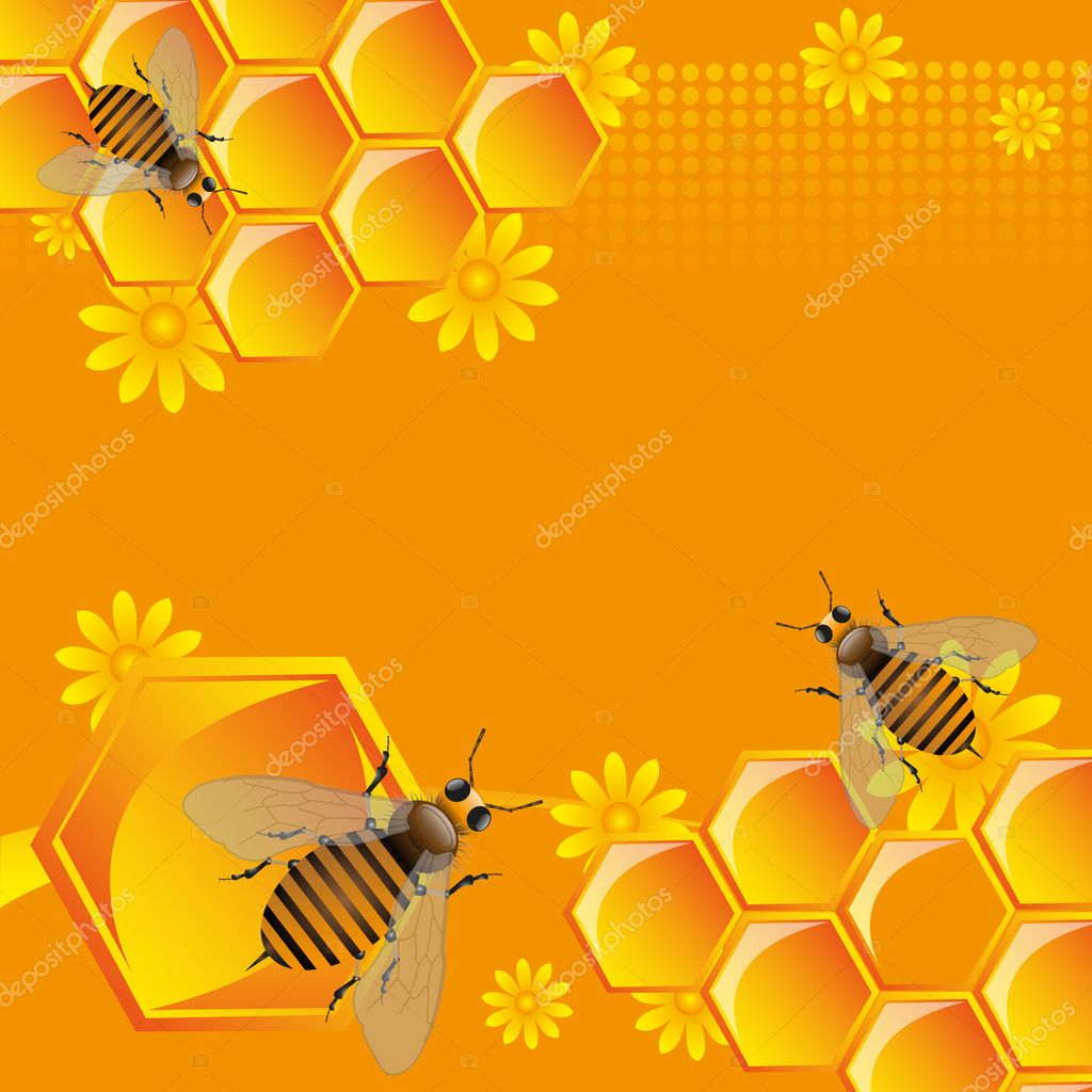 Bees and honeycomb cells — Stock Vector © oxlock #23554449