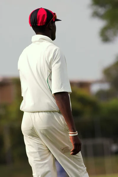 Cricketers Stock Photos, Royalty Free Cricketers Images | Depositphotos