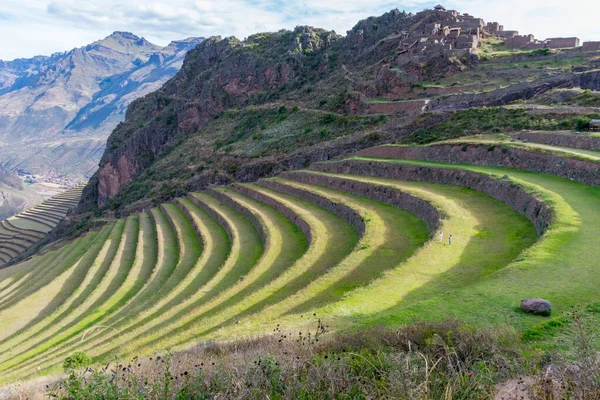 Ancient Inca Agriculture