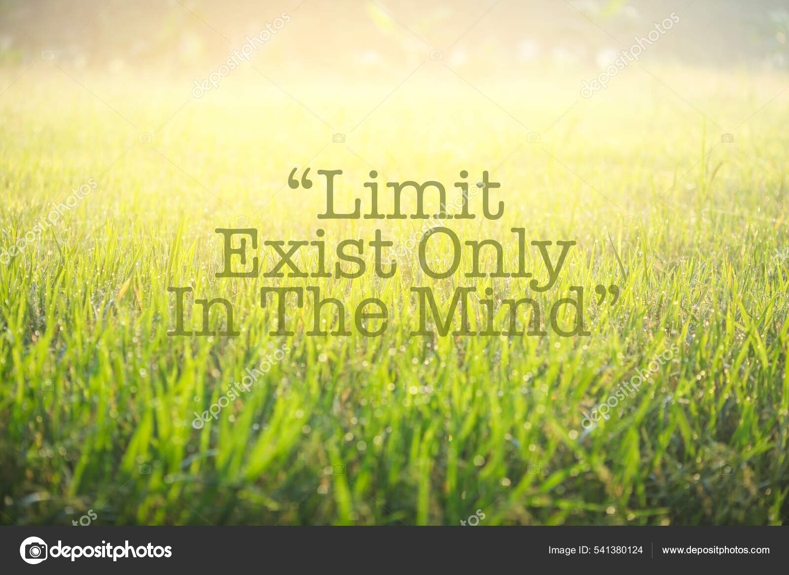 Wallpaper Quotes With Nature Background