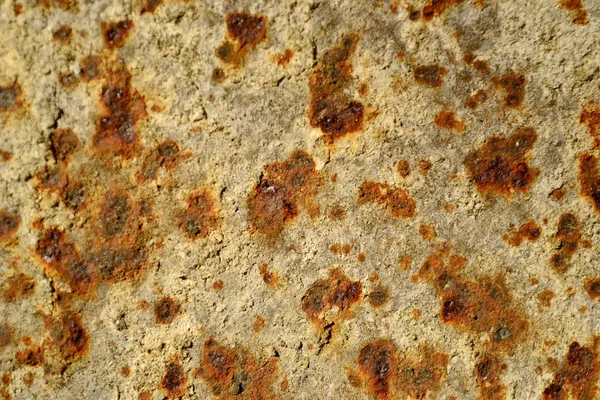 Microbial growth Stock Photos, Royalty Free Microbial growth Images ...