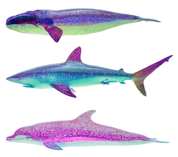 Shark species Stock Photos, Royalty Free Shark species Images ...