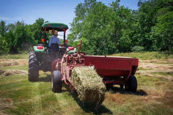 Farmers Sons Stacking Hay Bales — Stock Photo © vedagonzalez #26973031
