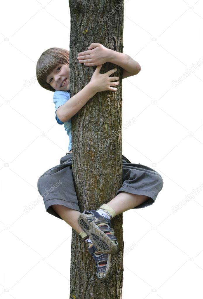 Boy in a tree Stock Photo by ©alexandralarin5 26730553