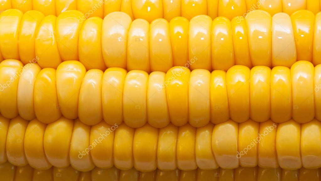 Corn texture — Stock Photo © darzyhanna #43930163