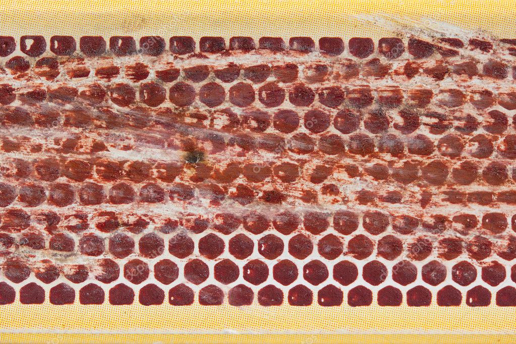 Macro Matchbox Strip — Stock Photo © miketea888 #22552377