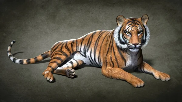 100,000 Tiger boss Vector Images | Depositphotos