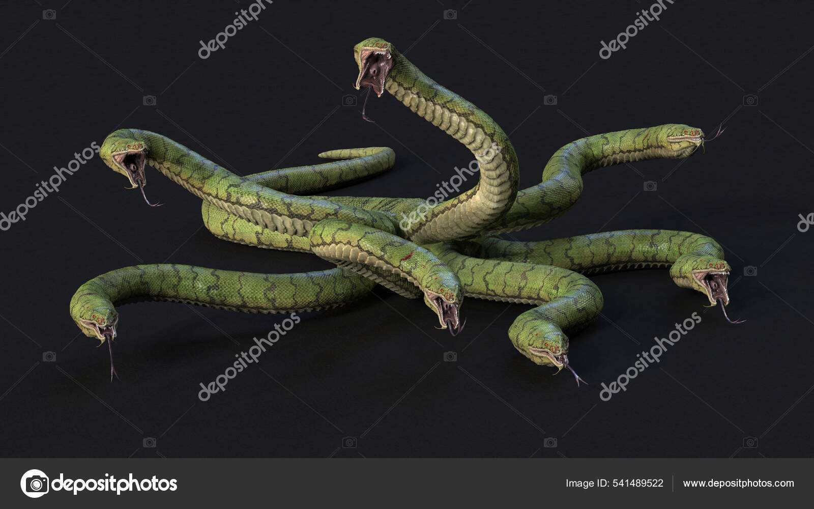 Real Hydra Snake