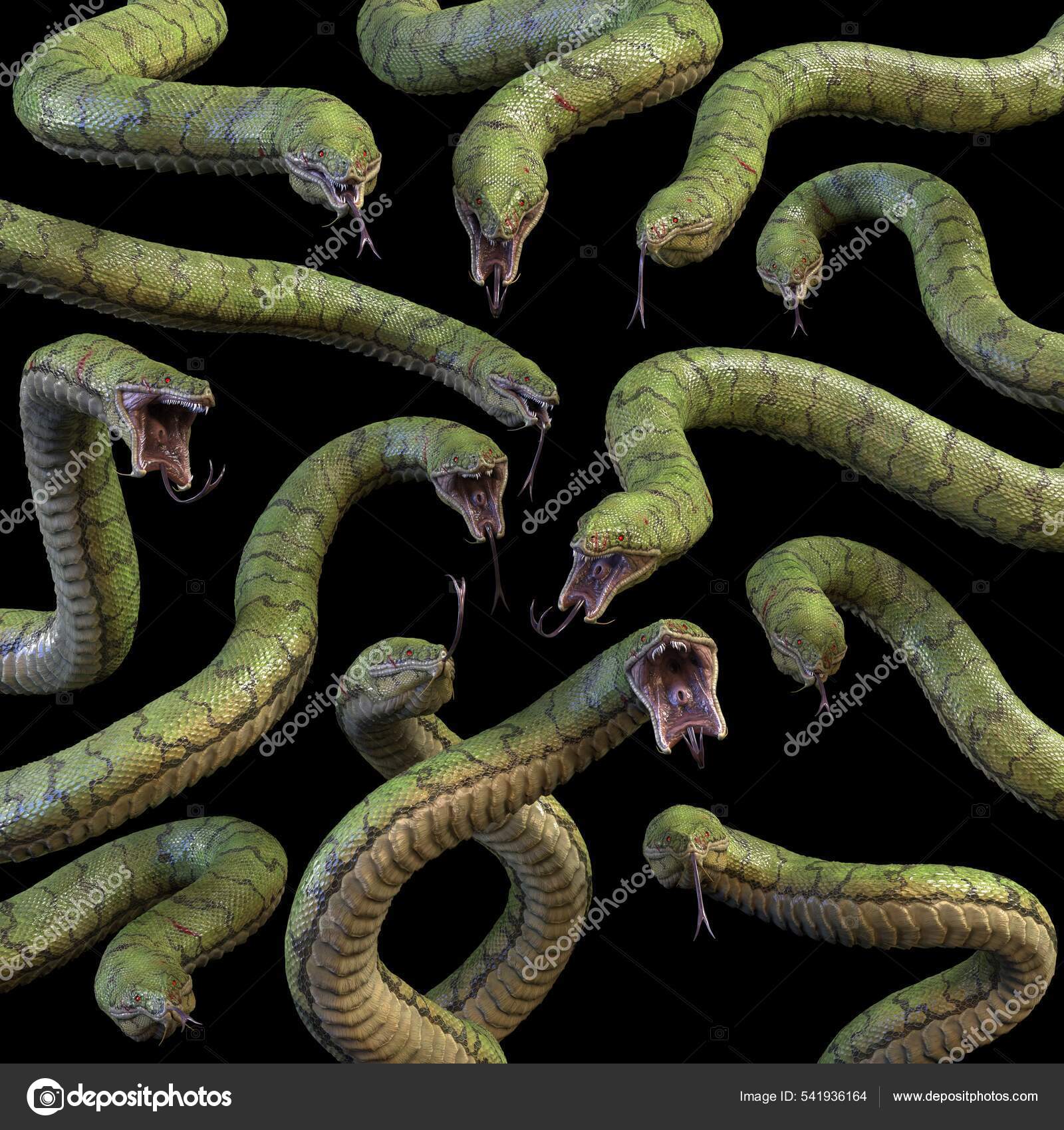 Thirteen Large Toothy Snakes Rendering Stock Illustration by ©Dina5 ...