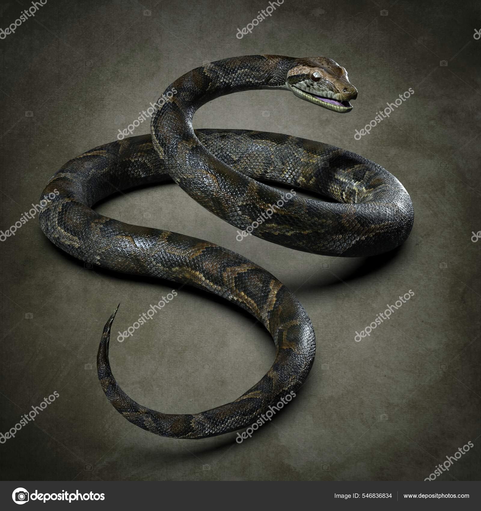 Python Close Illustration — Stock Photo © Dina5 #546836834