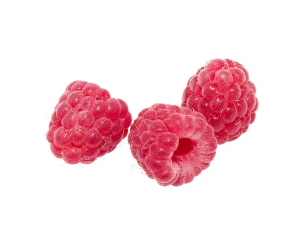 Raspberry fruit background Stock Photos, Royalty Free Raspberry fruit ...