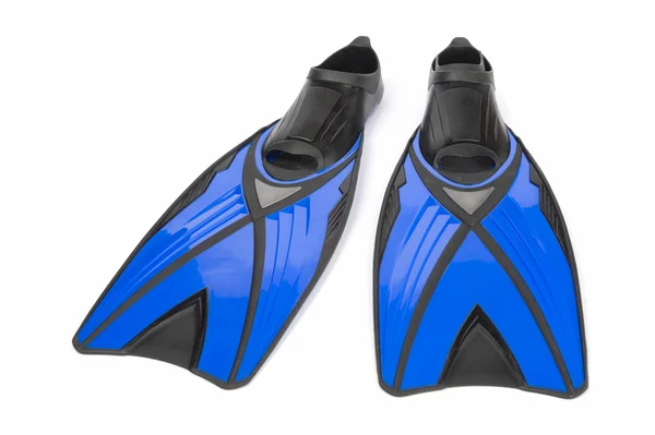 Flippers Stock Photos, Royalty Free Flippers Images | Depositphotos