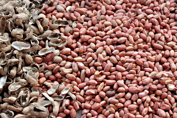 Pig nuts Stock Photos, Royalty Free Pig nuts Images | Depositphotos®