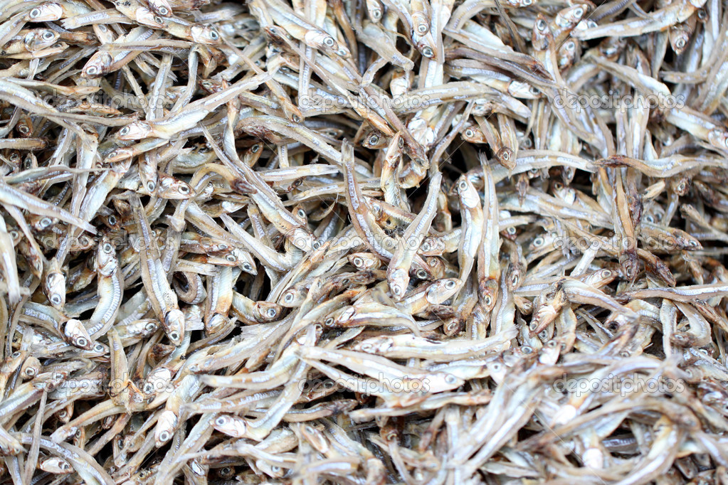 Texture of anchovy fish after drying in sunlight. Stock Photo by ...