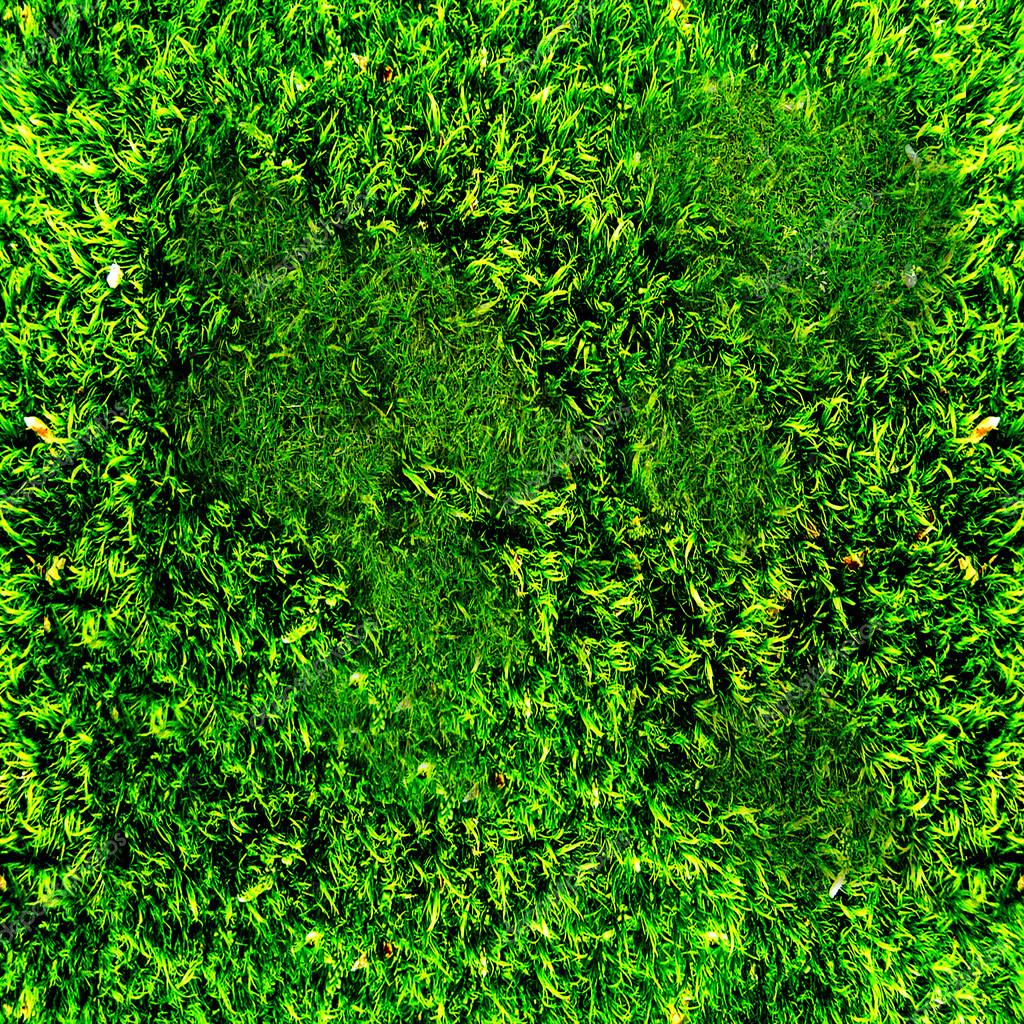Seamless Grass Texture — Stock Photo © TextureJungle #22726741