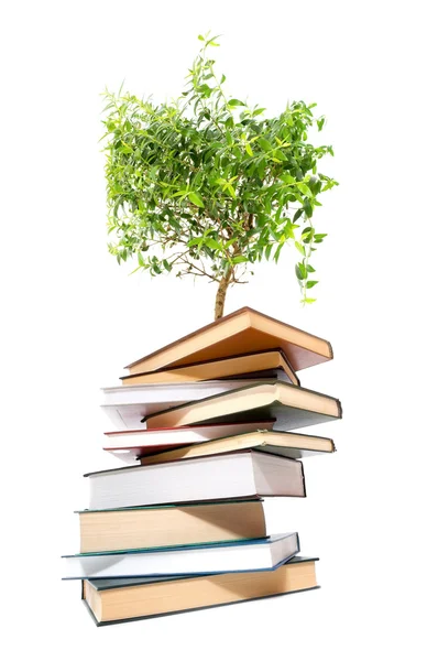 Open book tree Stock Photos, Royalty Free Open book tree Images ...