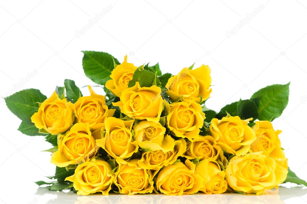 Yellow rose isolated on white background Stock Photo by ©Vitaly.R 25009397