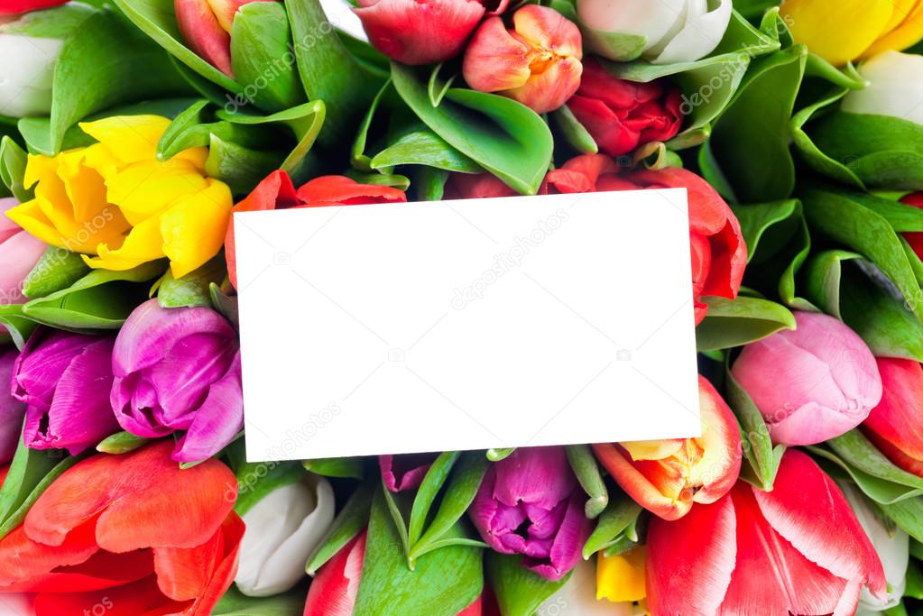 Tulips — Stock Photo © Vitaly.R #40276221