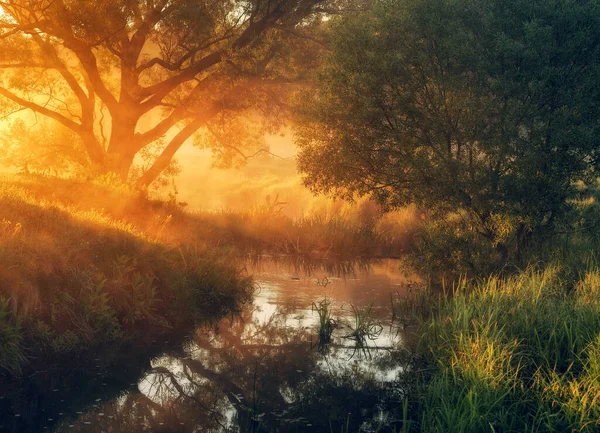 Beautiful spring sunrise over river banks. the sun's rays break through ...