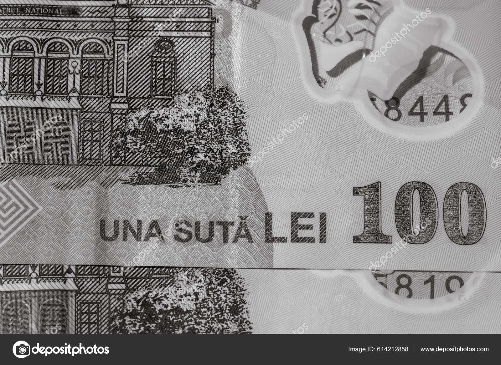 Lei Romanian Money Ron Leu Money European Currency Inflation — Stock ...