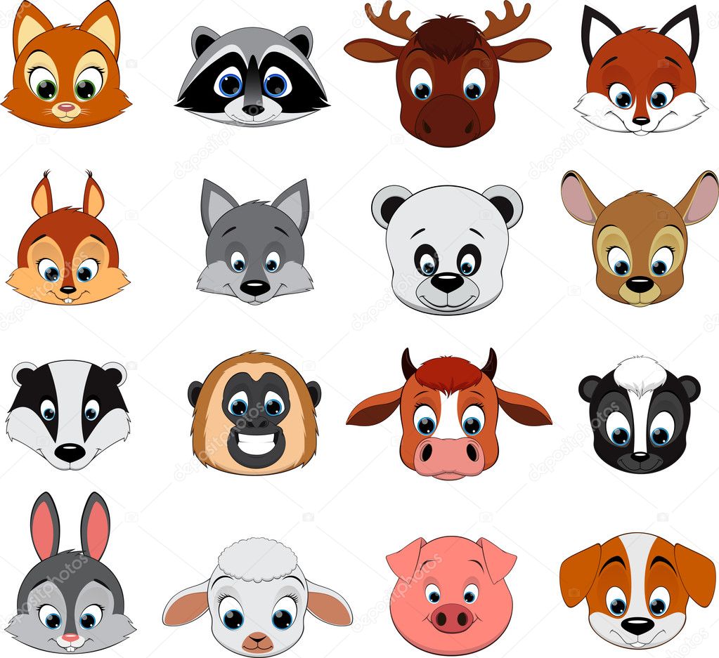 Cute colorful exotic animals collection — Stock Vector © Andrey_Makurin ...