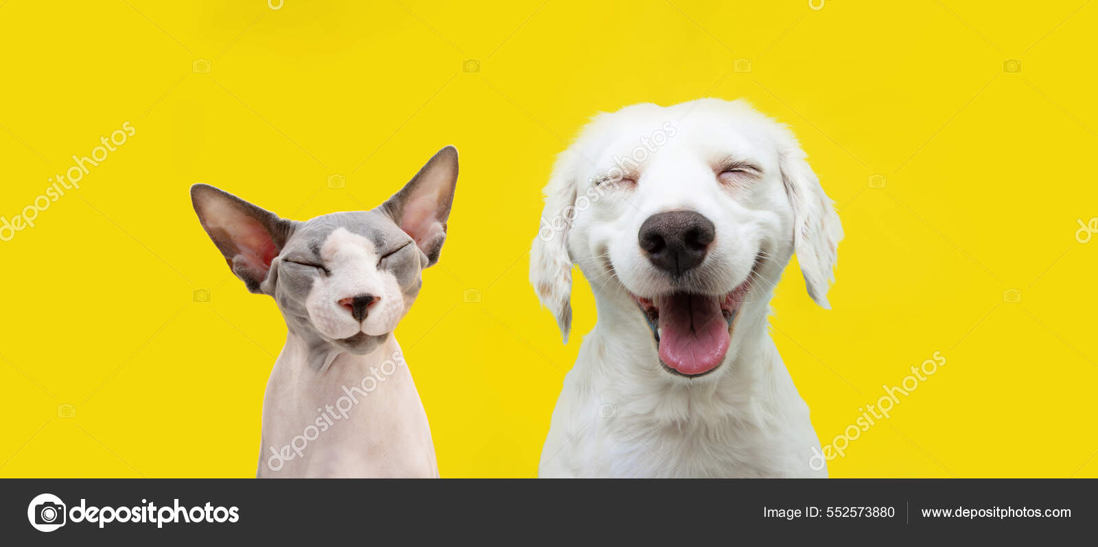 Smiling Dogs And Cats