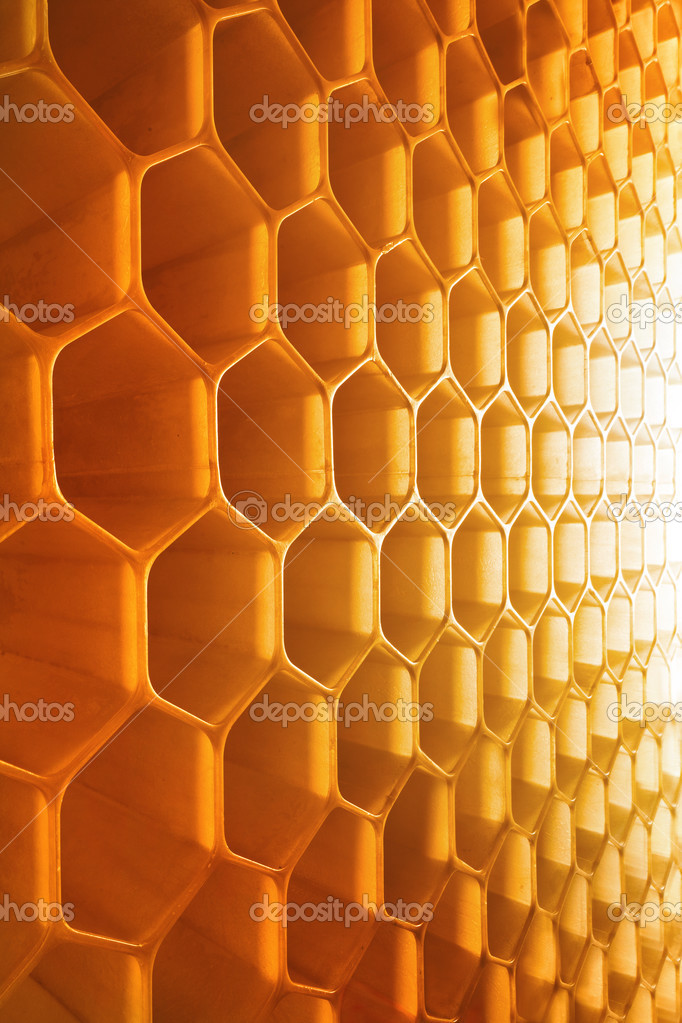 Honeycomb as the perfect backdrop Stock Photo by ©habrda 23624555