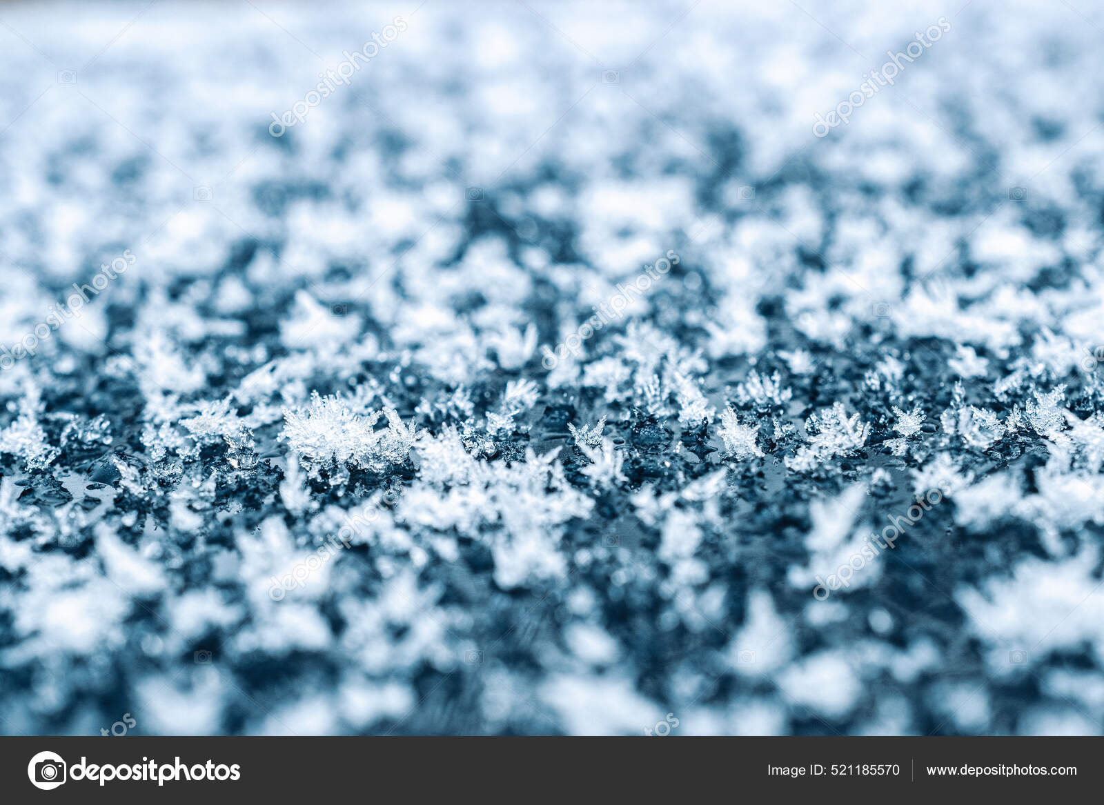 Frost Pattern White Frozen Ice Texture Cold Snow Winter Background ...