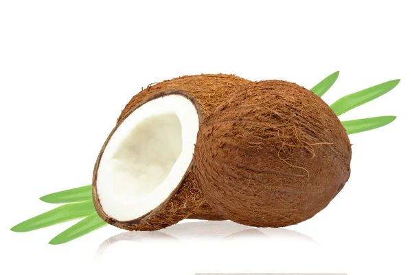 Coco tierno fotos de stock, imágenes de Coco tierno sin royalties ...