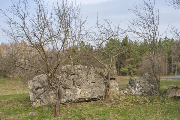 Restos de Adolf Hitler residencia Lobo 2024