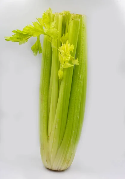 Imágenes de Cabeza de apio, fotos de Cabeza de apio sin royalties ...