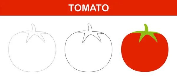 Desenho fases tomate Vector Images | Depositphotos
