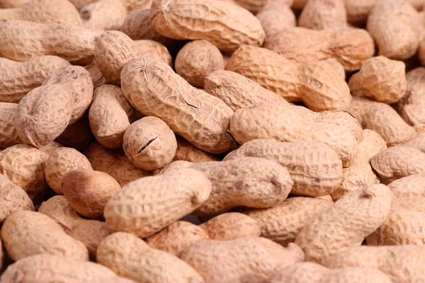 Peanuts — Stock Photo © fotek #25410319