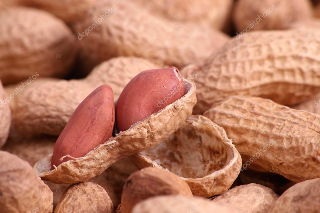 Peanuts — Stock Photo © fotek #25410319