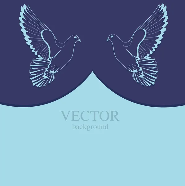 Vectores de Paloma, imágenes vectoriales | DepositPhotos