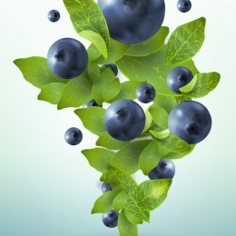 Berry Stock Photos, Royalty Free Berry Images | Depositphotos