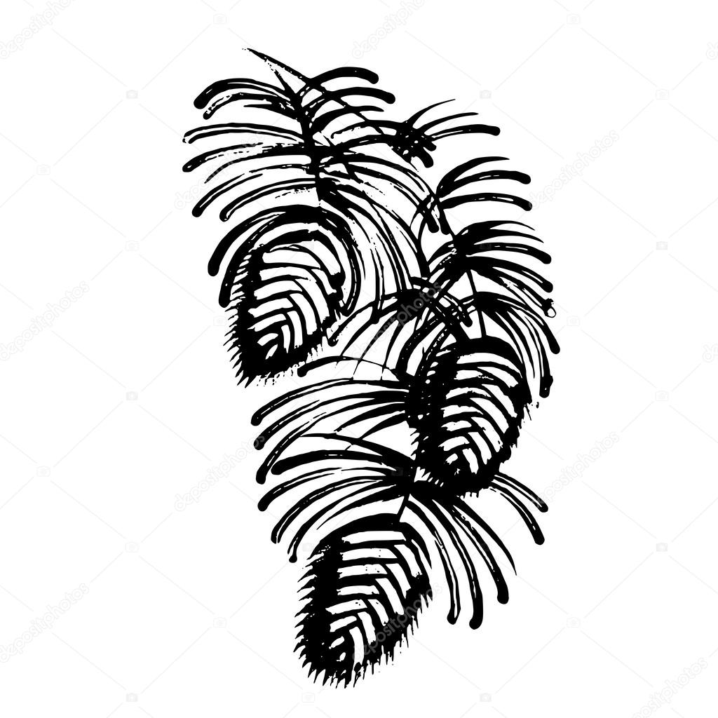 Pine Needles Silhouette