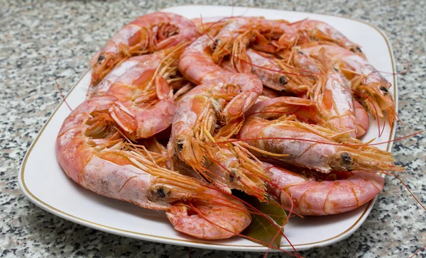 Carabineros Stock Photos, Royalty Free Carabineros Images | Depositphotos
