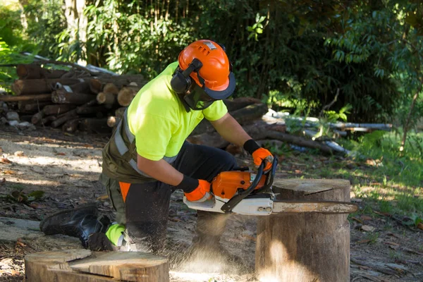lumberjack or forestry worker cutting or felling tree trunk with ...