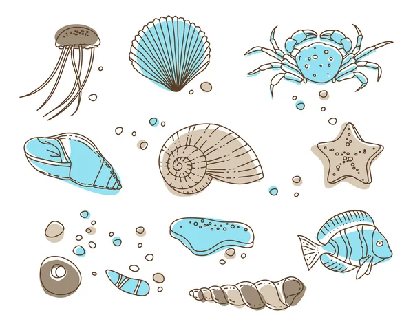 ᐈ Seashells stock illustrations, Royalty Free seashell backgrounds ...