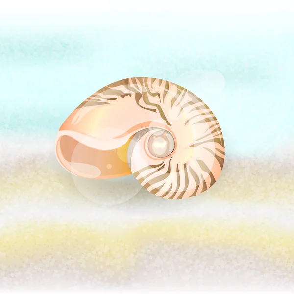 28,084,971 Seashell drawing Vector Images | Depositphotos